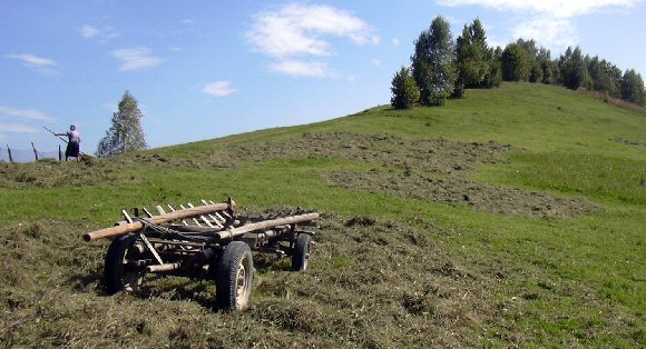 Heuen in den Bergen